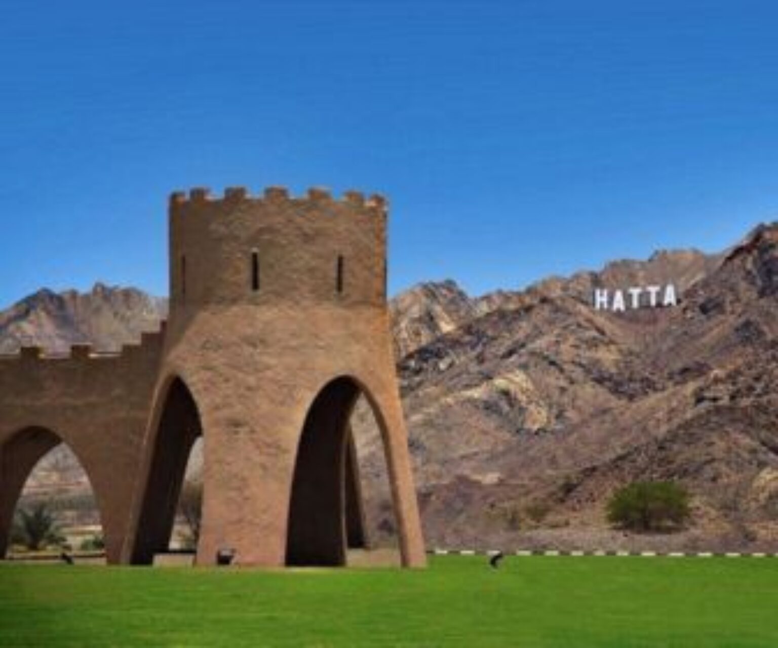 Explore the Serenity of Leem Lake in Dubai – Freebies Dubai