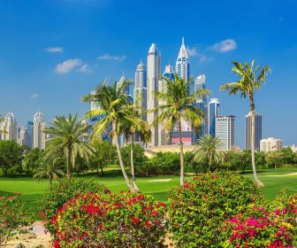 The Future of Dubai Green Spaces: How the City is Creating More Public ...